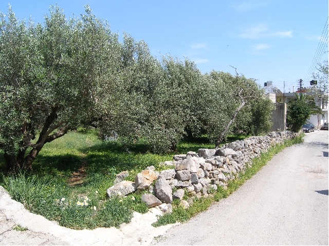 Building land of 500m2 for sale in Elounda